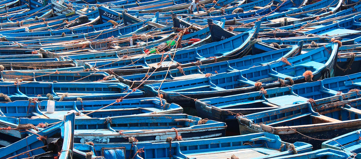 Association les amis de Nianing en Nord Cotentin